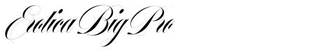 Erotica Big Pro Fuente Webfont And Desktop Myfonts