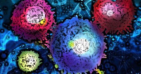 Is The Virus Mutating Answers From Evolutionary Biologists Midstory