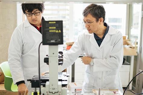 Best Biomedical Engineering Master S Programs In The World Technical