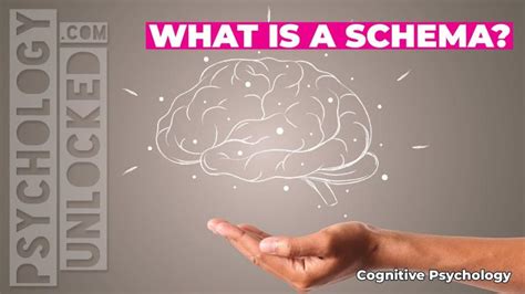 S B On Linkedin 🧠 What Is A Schema 🧠 Cognitive Developmental Psychology