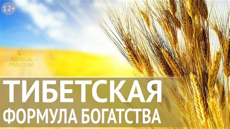 Фен Шуй для привлечения денег: Тибетская формула богатства. Наталия ...