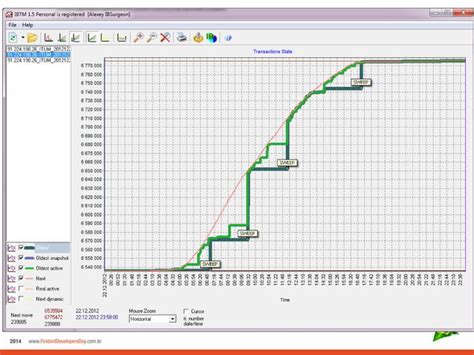 Life With Big Firebird Databases Ppt