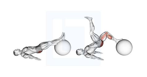 Exercise Ball One Legged Diagonal Kick Hamstring Curl Hamstring Curls