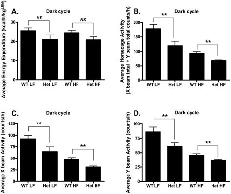 Het Gip Tg Mice Exhibited Decreased Physical Activity But Unaltered