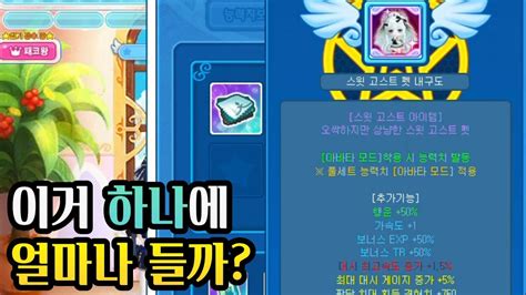 종결 펫 얻기 전에 알아두세요 With확률 테일즈런너 마무무 Youtube