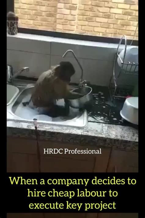 Srikanth P On Linkedin Absolutely Perfect Example