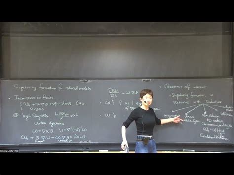Free Video Singularity Formation For Reduced Models Of Fluid Equations
