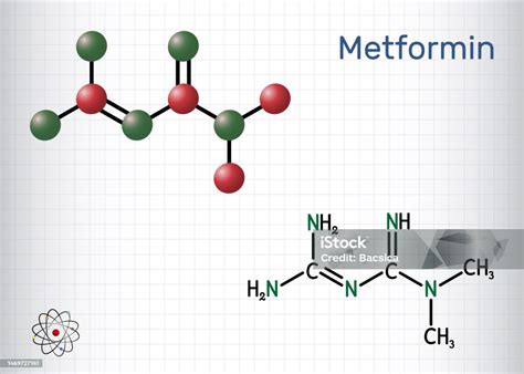 메트포르민 분자 제 2 형 당뇨병 관리에 사용되는 바이구 아나이드 항 고혈당제입니다 구조 화학식 분자 모델 새장에 종이 한 장 분자에 대한 스톡 벡터 아트 및 기타 이미지