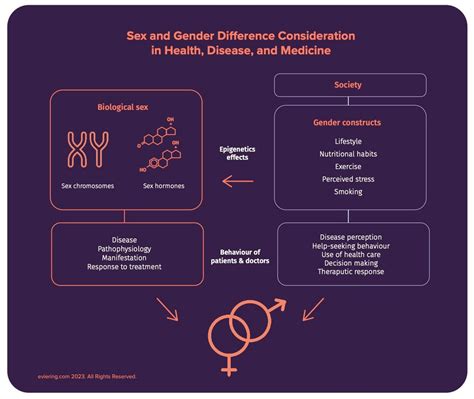 Womens Biometrics Harnessing The Potential Of Gender Specific Health And Wellness Data Evie