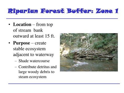 Ppt Riparian Forest Buffers Powerpoint Presentation Free Download