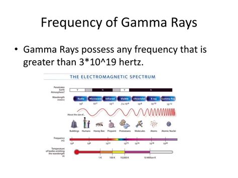 Ppt Gamma Rays Powerpoint Presentation Free Download Id 2569244