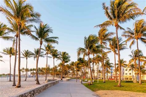Florida Trees And Beaches Florida Beach Palm Trees Hi Res Stock