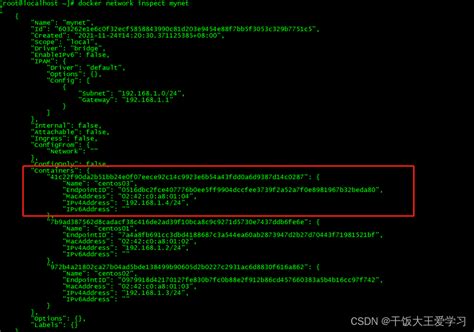 docker网络 查询docker容器与宿主机网络的关系 csdn博客