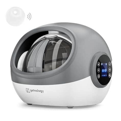 Top 5 Rfid Cat Feeders Reviews And Guide For Your Feline Friend