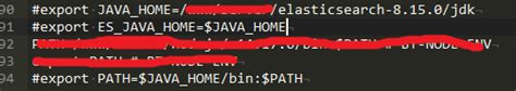 Elasticsearch启动报错warning Ignoring Javahome Using Bundled Jdk