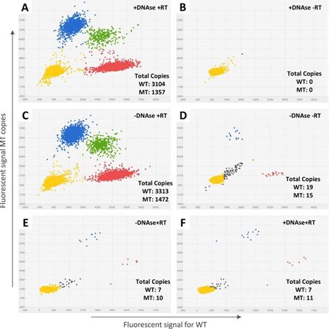 Mutation Analysis By Dpcr In Ev Rna With And Without Dnase Treatment Download Scientific