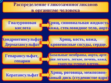 Соединительные ткани презентация онлайн