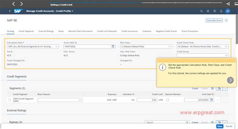 Setup Credit Limit Of Customer Sap Fiori