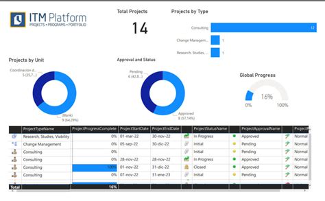 Data Visualization In Project Portfolio Management A Practical Guide Itm Platform