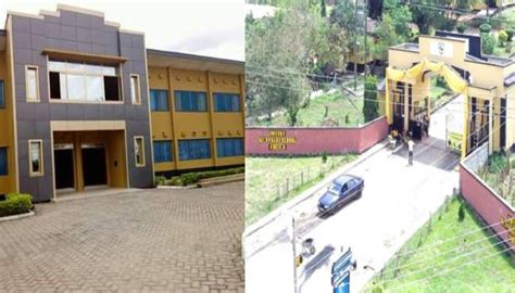 Agona Swedru Shs Suspends 25 Students Following Same Sex Proposal