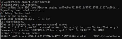 Flutter学习之旅一a Network Error Occurred While Checking Csdn博客