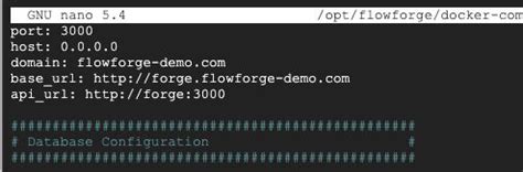Install FlowFuse Docker On Google Cloud FlowFuse
