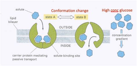 Unit 3 Ch 12 Flashcards Quizlet