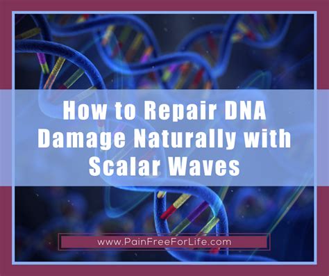 How To Repair Dna Damage Naturally With Scalar Waves Pain Free For Life