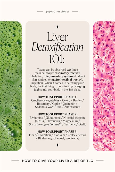 Support Your Livers Detoxification Process
