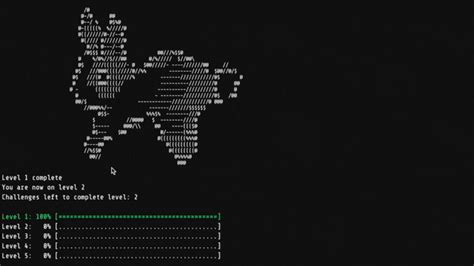 We Found The Google Secret Hiring Coding Challenge