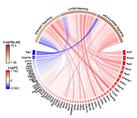 Github Rsgodoy Single Cell Transcriptomic Atlas Of Lung Microvascular