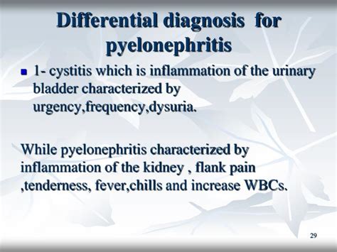 Differential Diagnosis Of Pyelonephritis At Lynn Morgan Blog