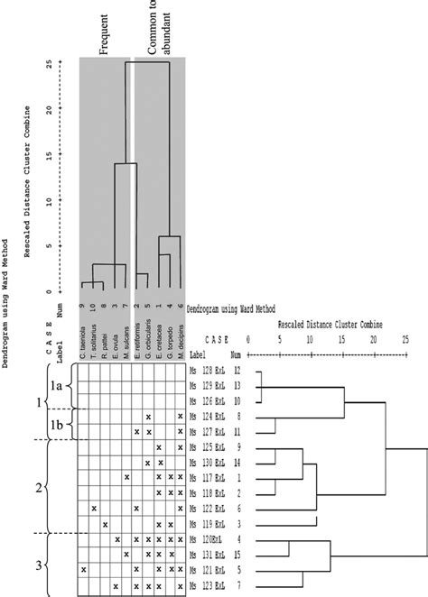 Cross Plot Of The Q Mode And R Mode Two Way Cluster Analyses Run On The