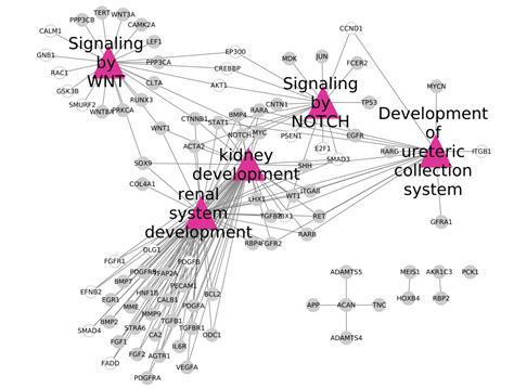 Use Case 2 Data Are Provided By The User — Odamnet 1 Documentation