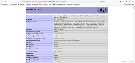ctfhub 信息泄露 phpinfo phpinfo你能看到我代码吗 csdn博客