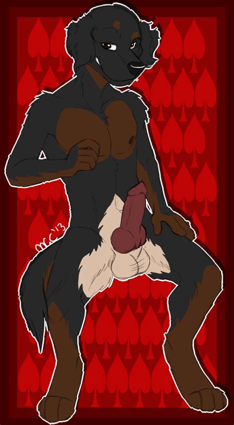 Rule 34 Anthro Aysu Balls Canine Canine Penis Digitigrade Furry Knot