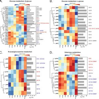 Heat Maps Showing The Expression Profiles Of Genes From Venturia