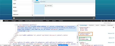 Internet Explorer Does Not Display Images Sap Community