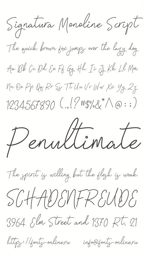 Signatura Monoline Script Font
