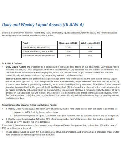 25 Liquid Assets Examples In Pdf Examples