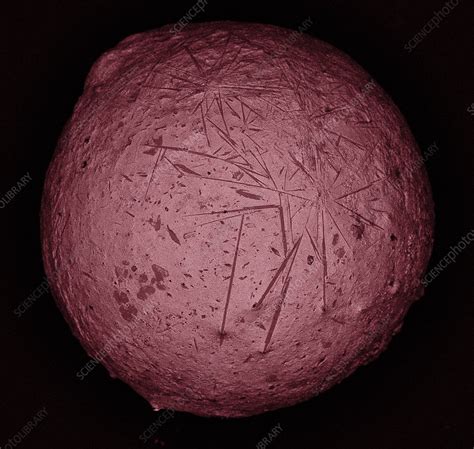Micrometeorite Structure Sem Stock Image C043 4490 Science Photo Library
