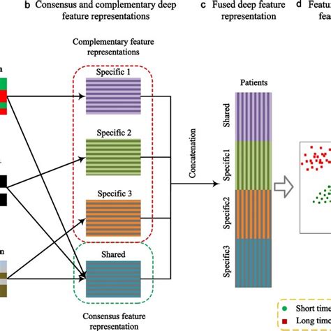 A Demo For Deep Learning For Cancer Survival Prediction A Example Download Scientific Diagram