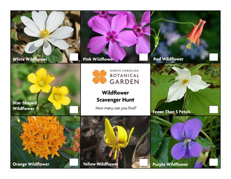 Scavenger Hunts North Carolina Botanical Garden