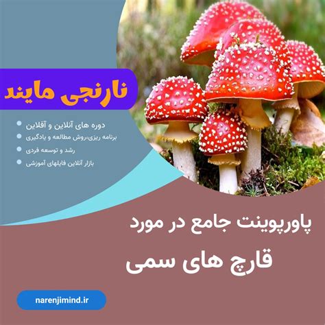 پاورپوینت قارچ های سمی در 46 اسلاید نارنجی مایند،بازار آنلاین خرید
