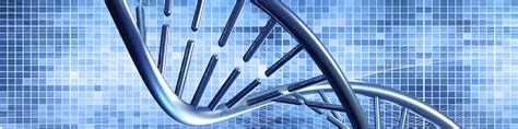 bioinformatics and biostatistics core ohsu