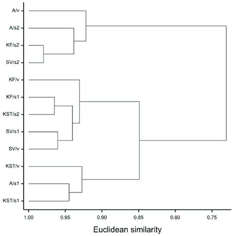 Dendrogram Of The Nearest Neighbor Cluster Grouping Of 12 Download