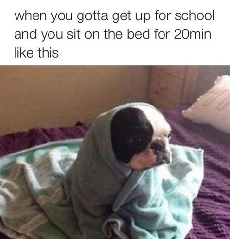It Happens Pretty Much Every Morning Barnorama