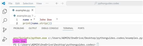 How To Use The Strip Function In Python