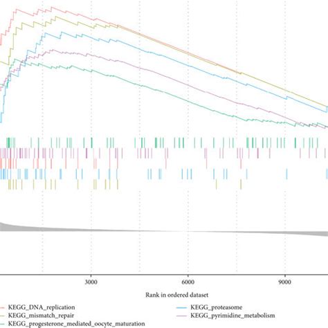 Functional Enrichment Analysis A Go And Kegg Functional Enrichment