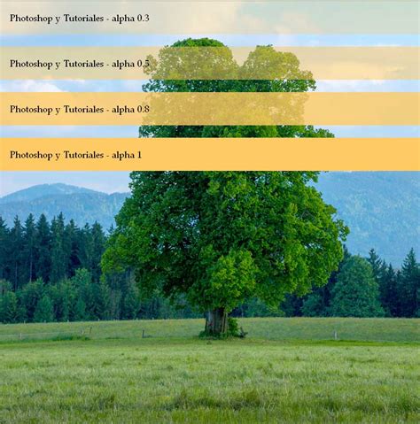 Tutorial Y Explicación Sobre Los Colores Rgba En Css